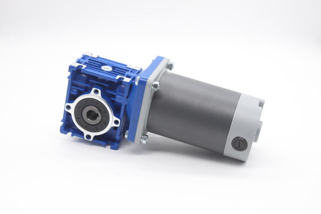 DC Worm Gear Motors - Derry Motor